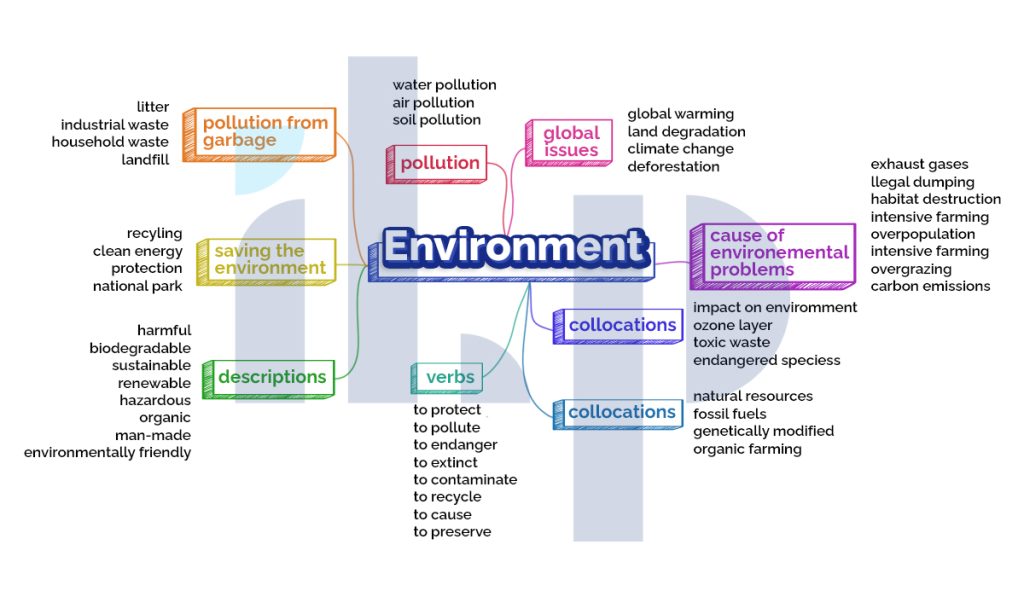 Ứng dụng Mindmap để lập dàn ý bài IELTS Writing hiệu quả